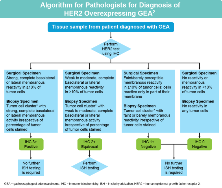 HER2+ Guidelines for Diagnosis and Treatment of GEA and BTC – HER2